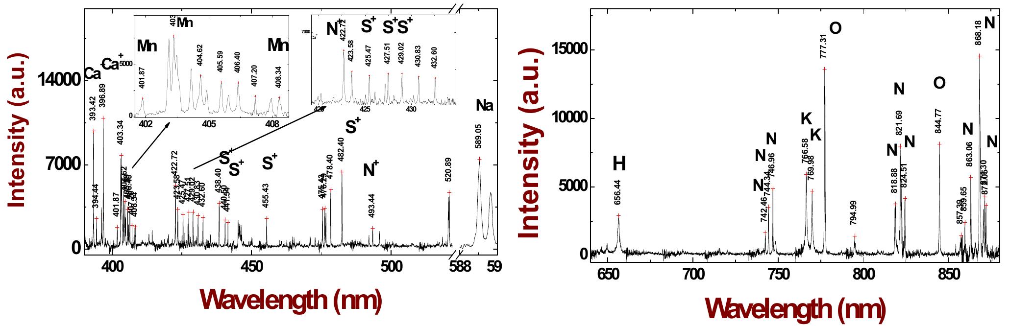 Libs spectra of match stick with ns pulses using iccd from