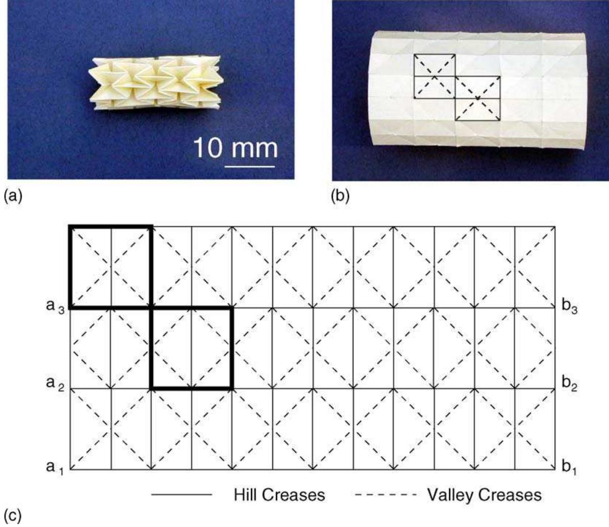 Photographs of a card model of the origami stent graft in