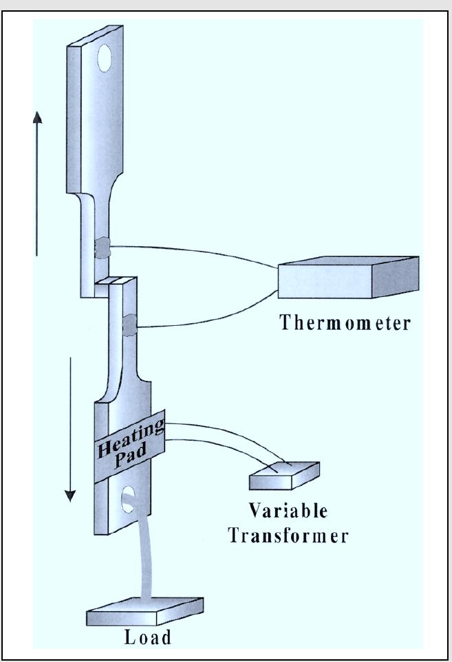 A.a schematic drawing of creep testing method.
