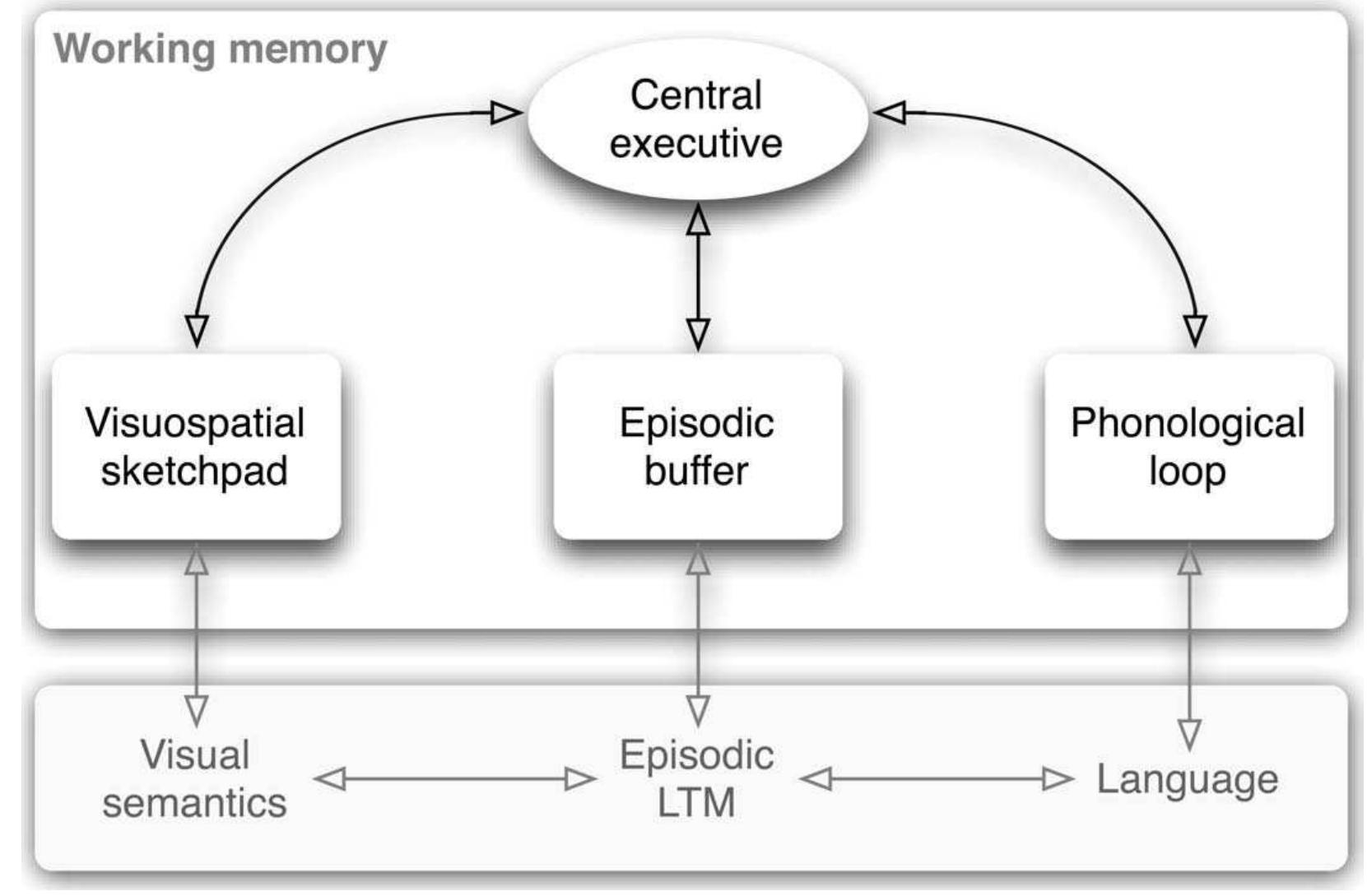 The current multi-component model of working memory