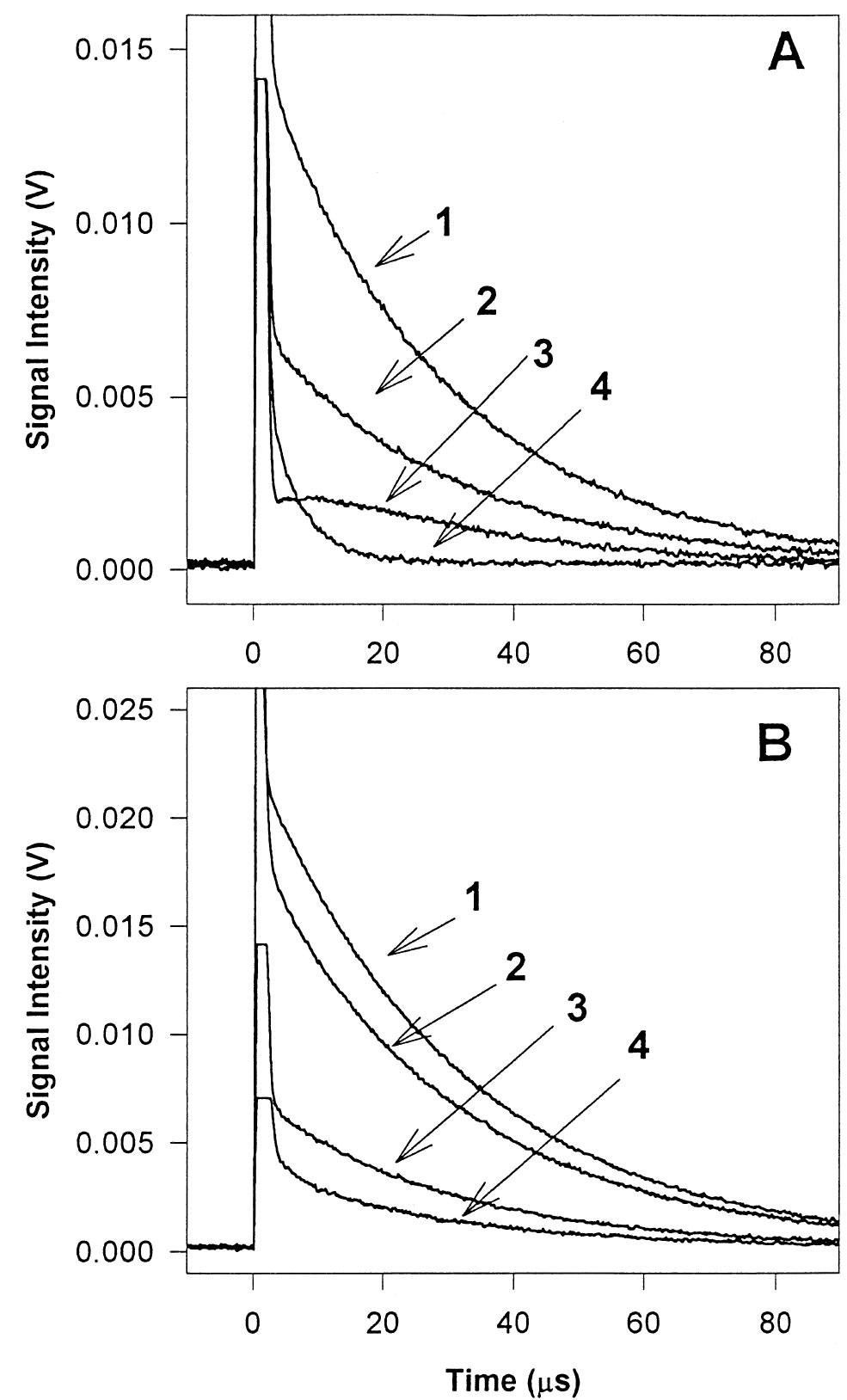 Infrared emission decay with first-order fit measured after