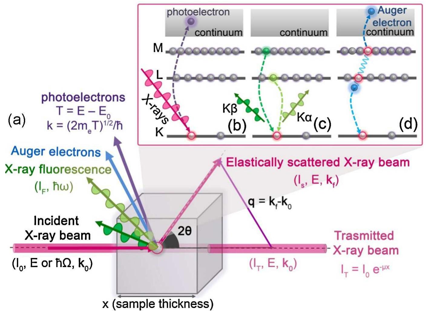 (a) schematic representation of the principal x-rays/matter