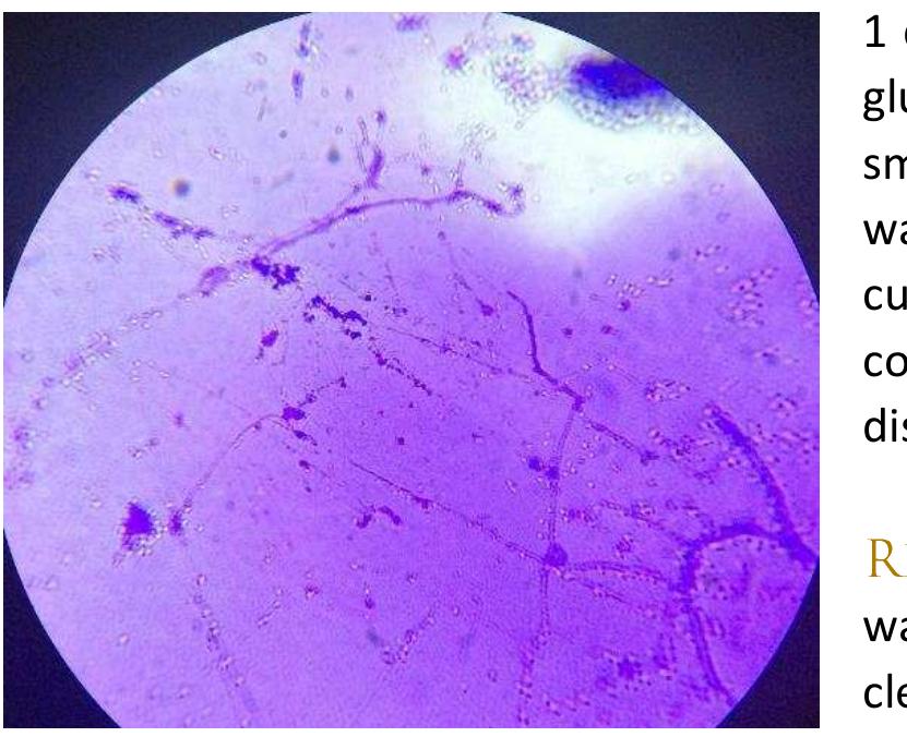 Figure 1 - Isolation and Morphology of Streptomyces.pdf