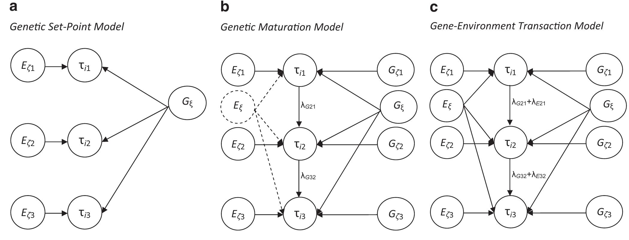 Conceptual structure models. note, these models only
