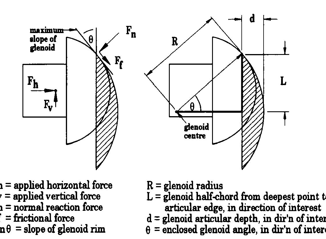 Subluxation load equilibrium. the subluxation load (f,)