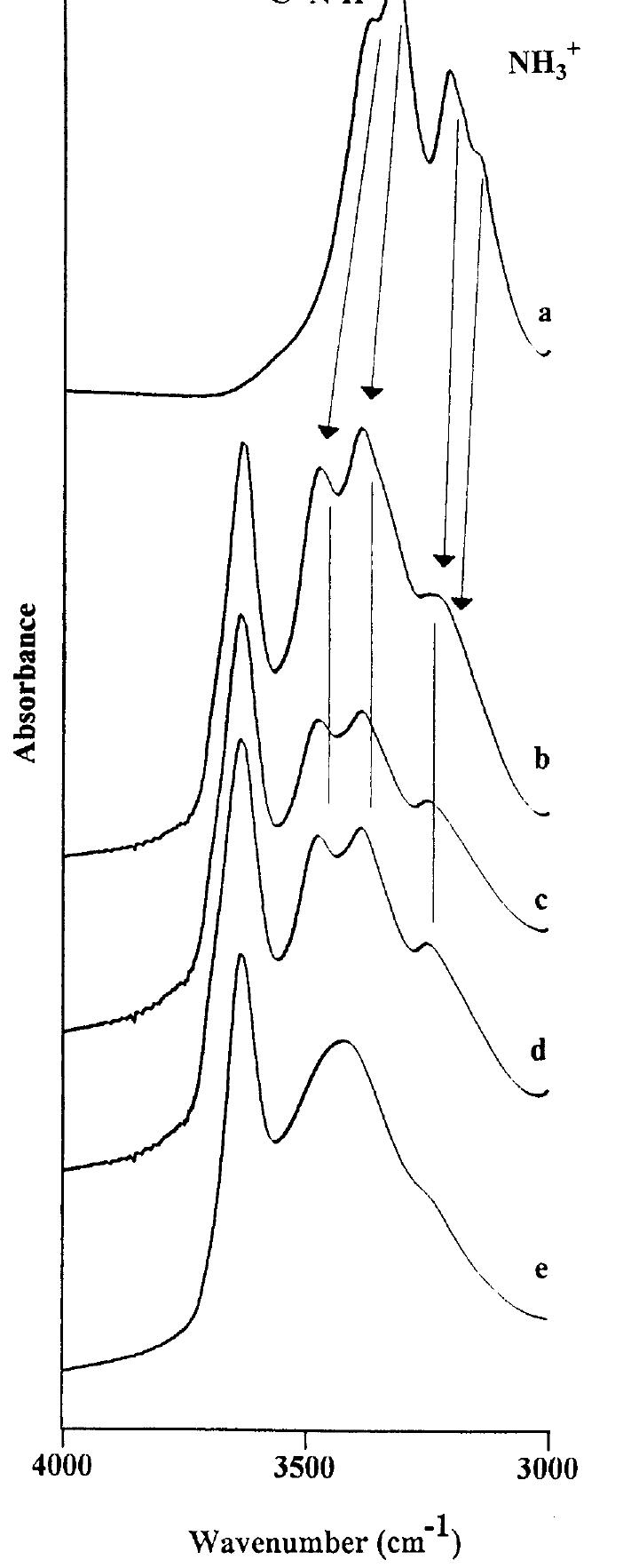 Ir spectra of buformin hydrochloride, montmorillonite and