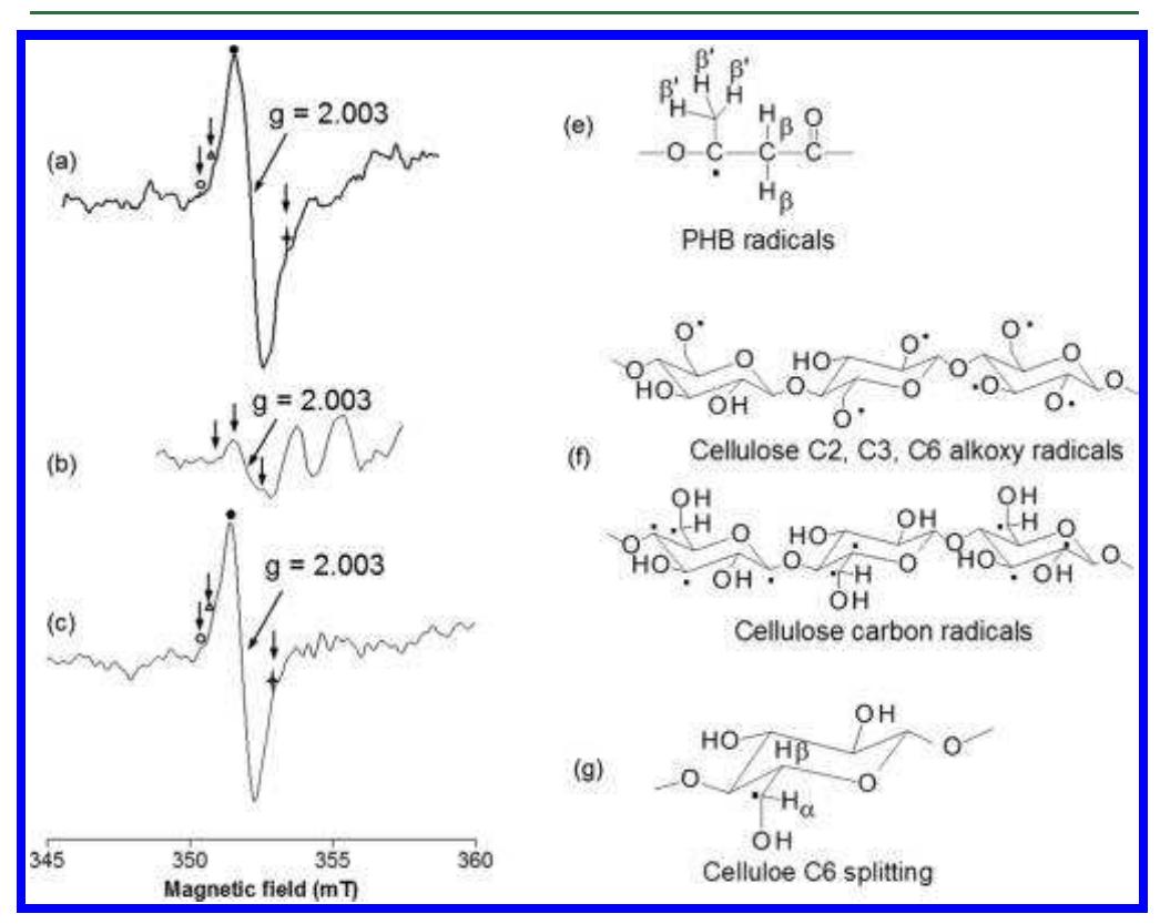 Esr spectra of (a) phb + dcp (2%), (b) cfl + dcp (2%), and