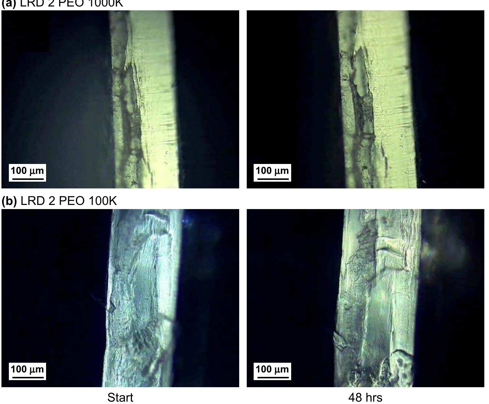 Polarized optical microscopy images from nanocomposite films