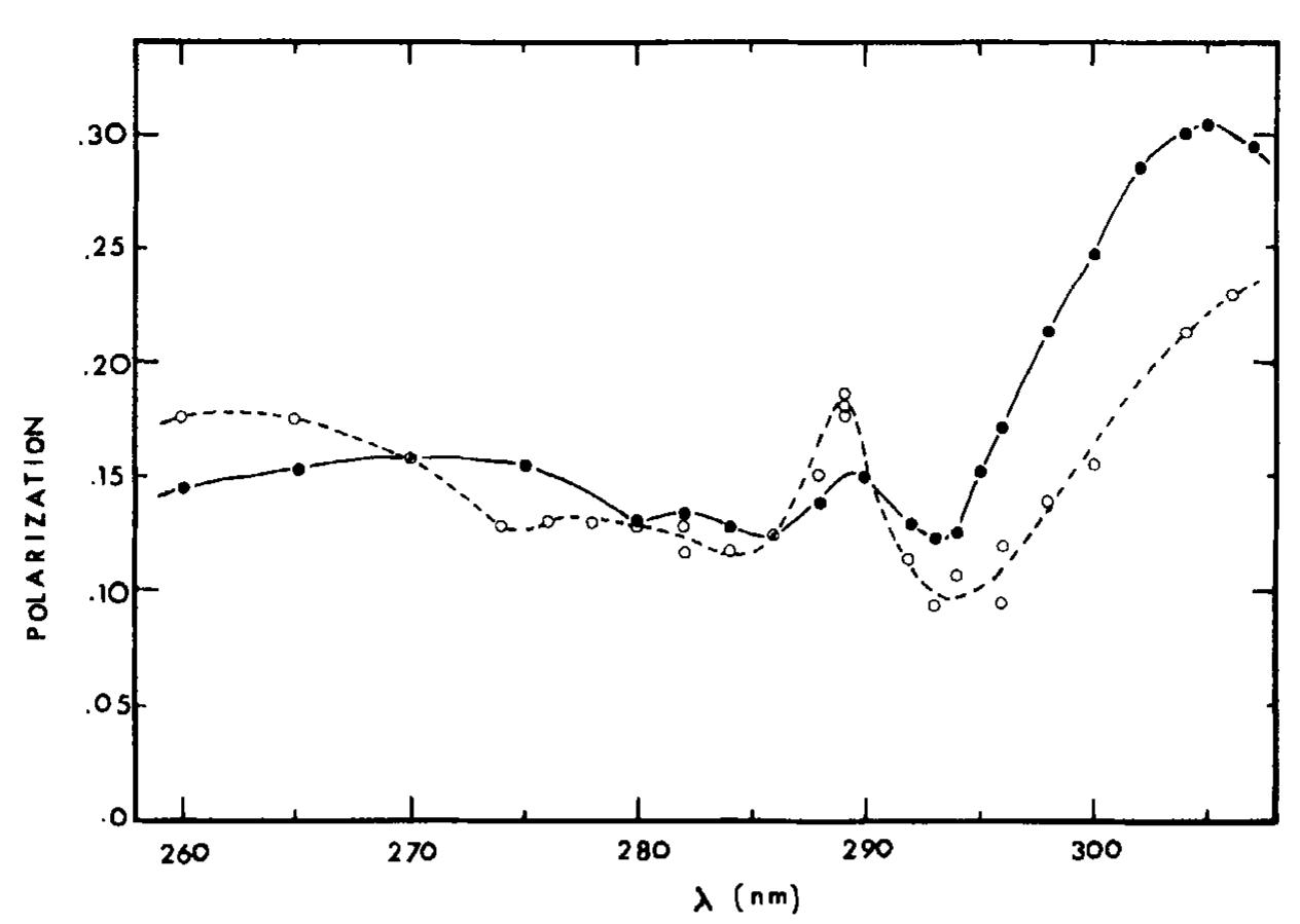 , excitation polarization spectra of oxyhemoglobin a, (open