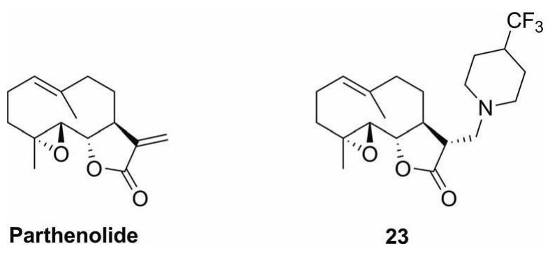 Structure of parthenolide and its analogue 23 labeled by