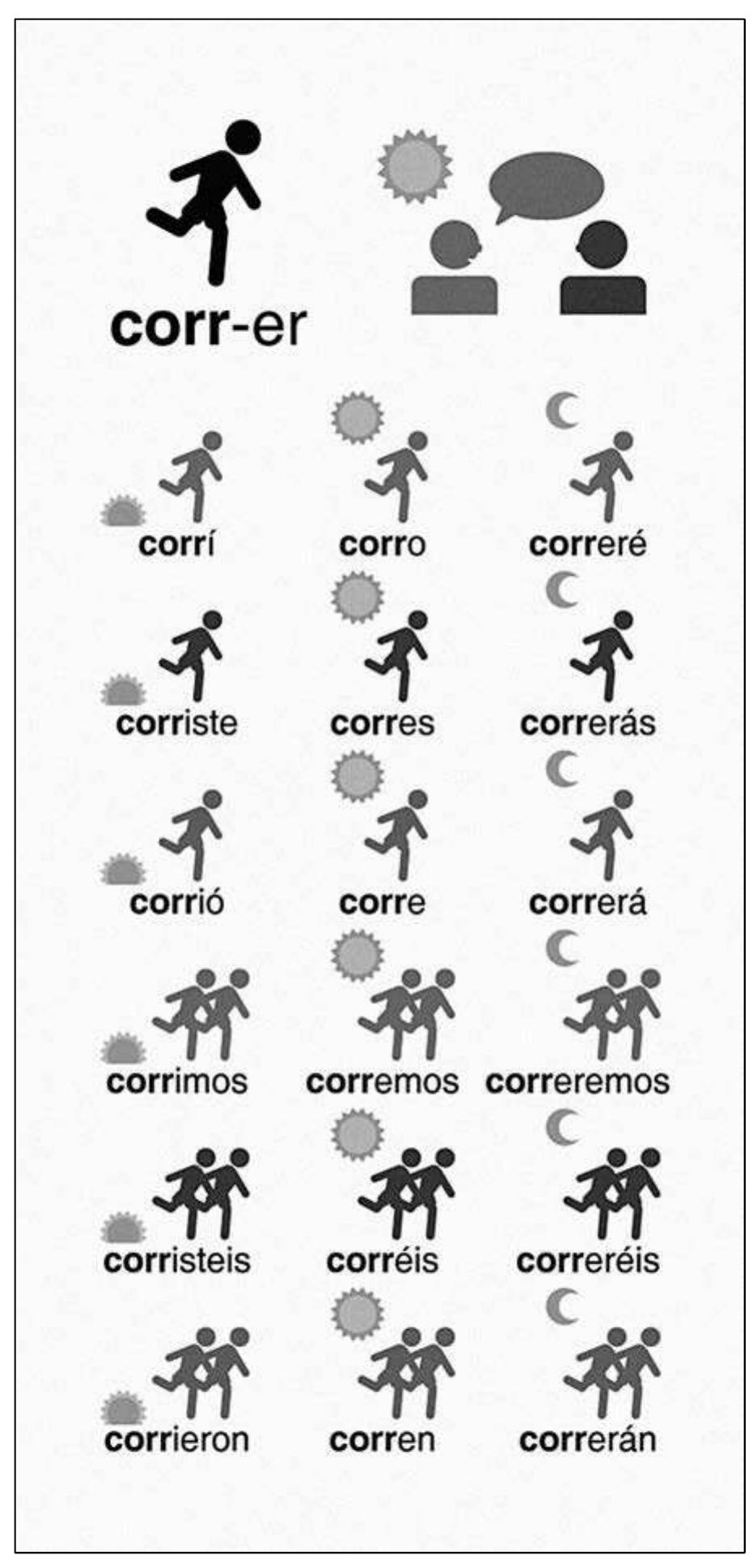 -12: illustration of the conjugation of the spanish verb