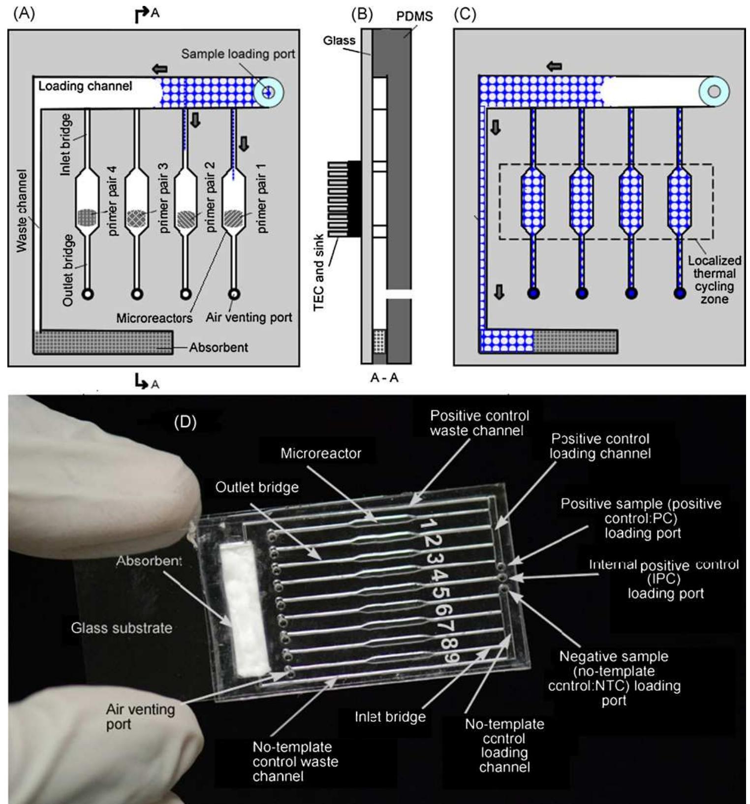 Schematic of the microfluidic operation. (a) the loading