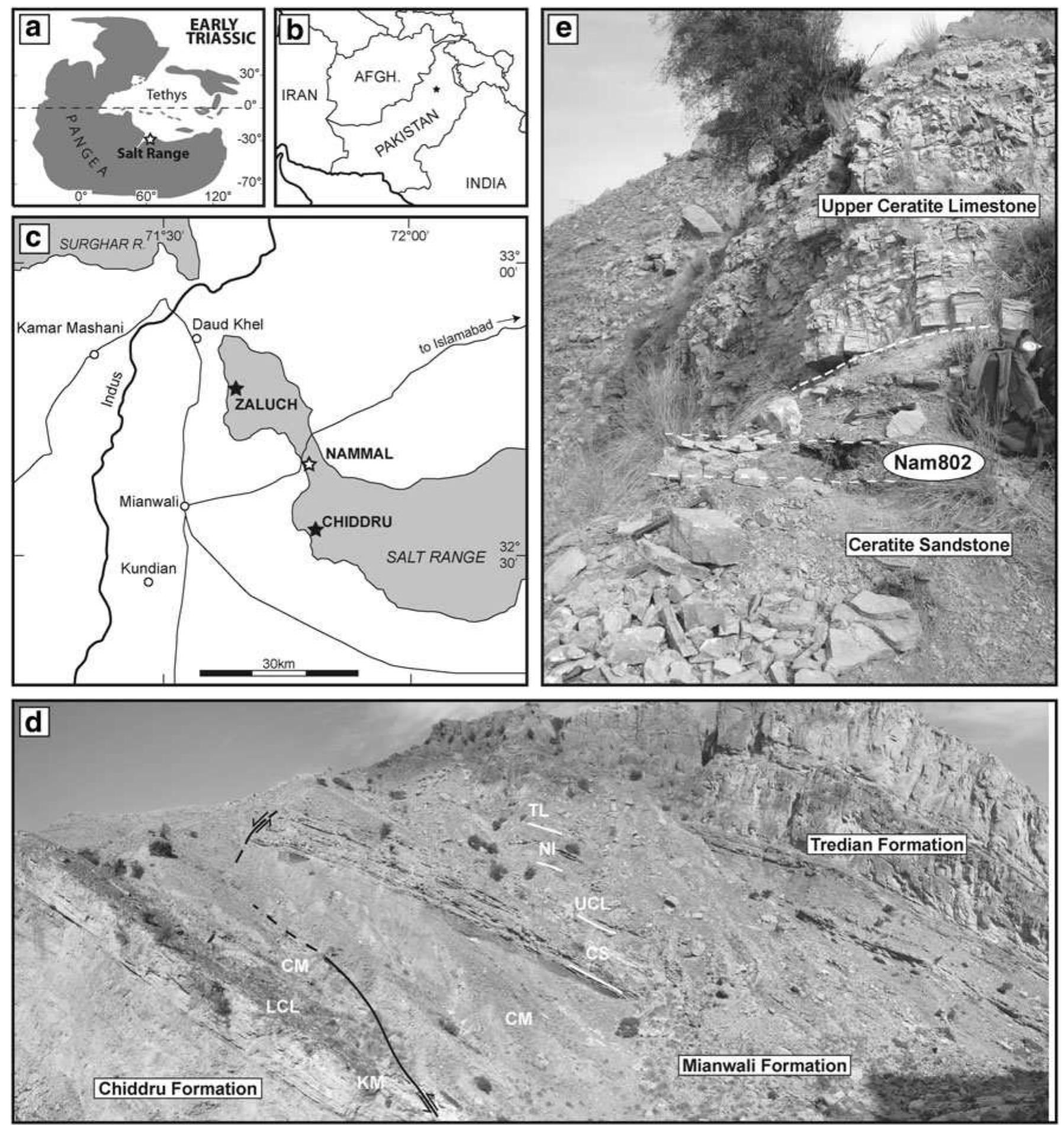 A paleogeographical map of the early triassic with the