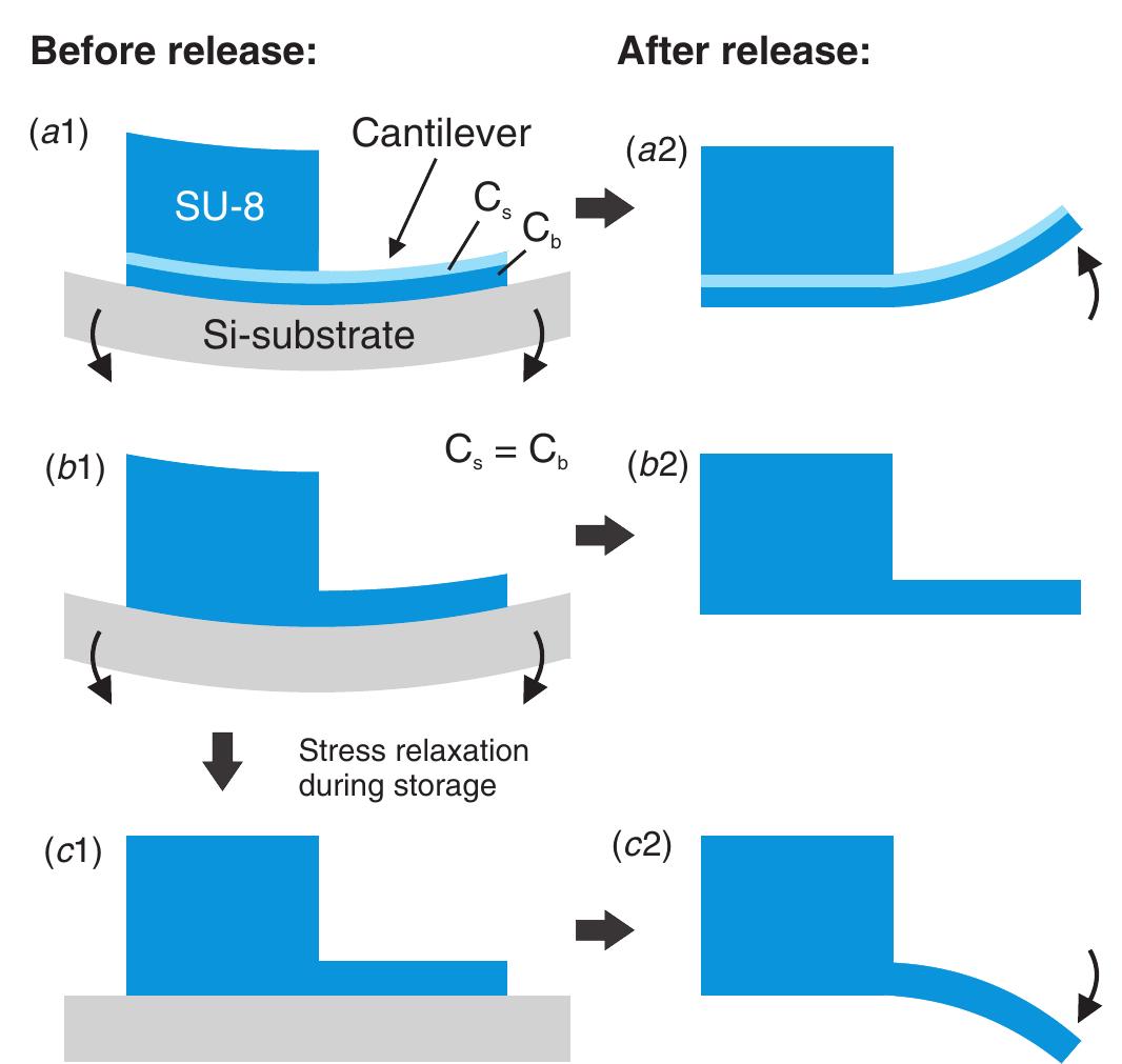 Schematic of cantilever bending before and after release