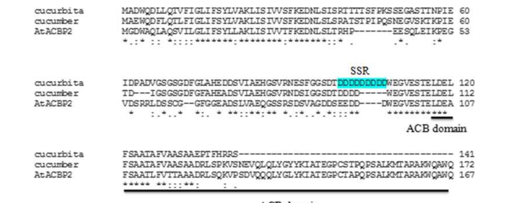 Blue. a thick black line underlines the highly conserved acb