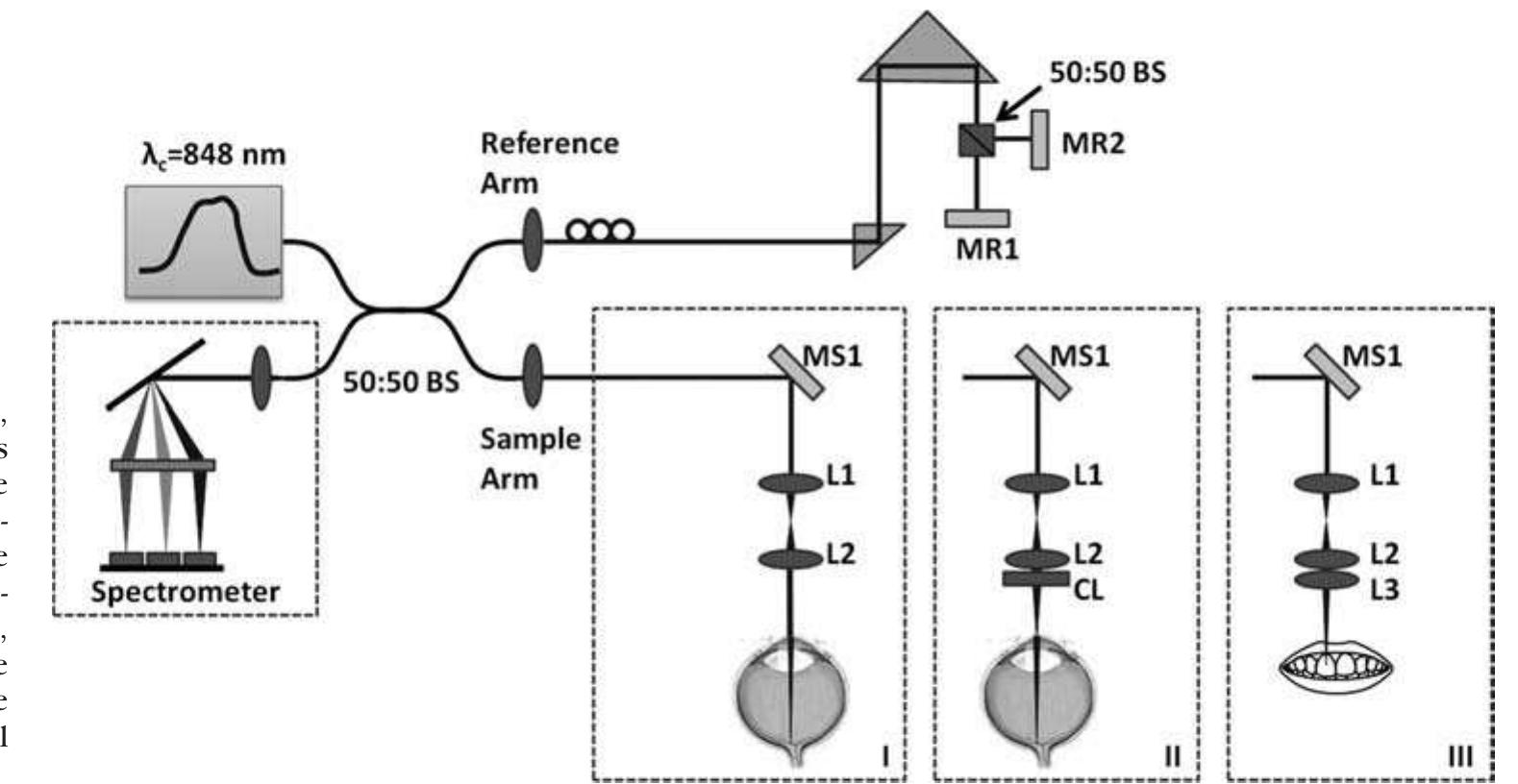 To determine the heart rate, the blood pressure was measured