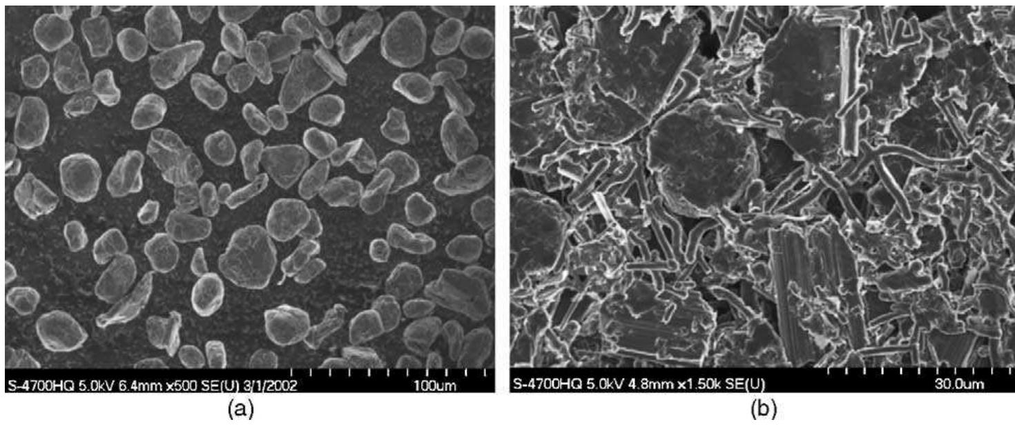 Sem micrograph of (a) rounded natural graphite and (b)