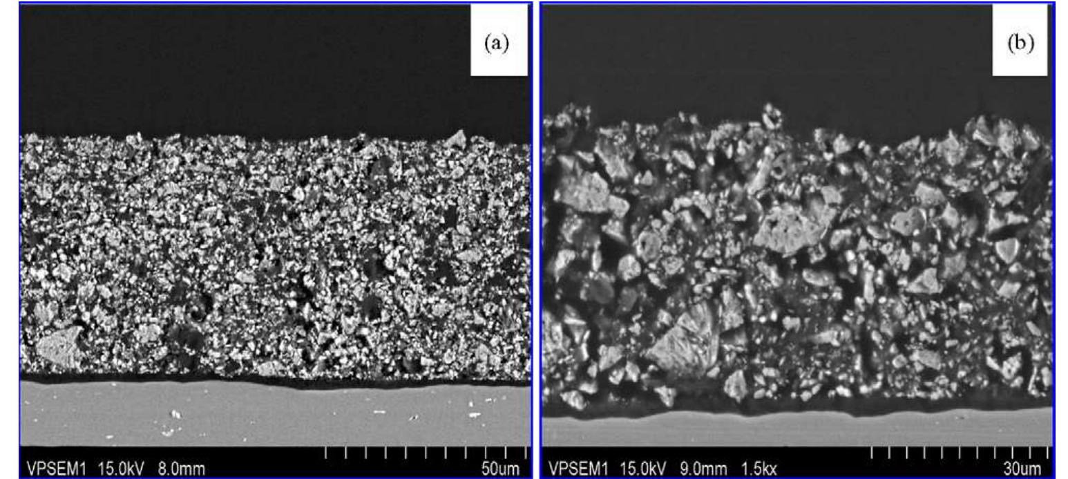 Sem images of lifepo, cathode material prepared by using