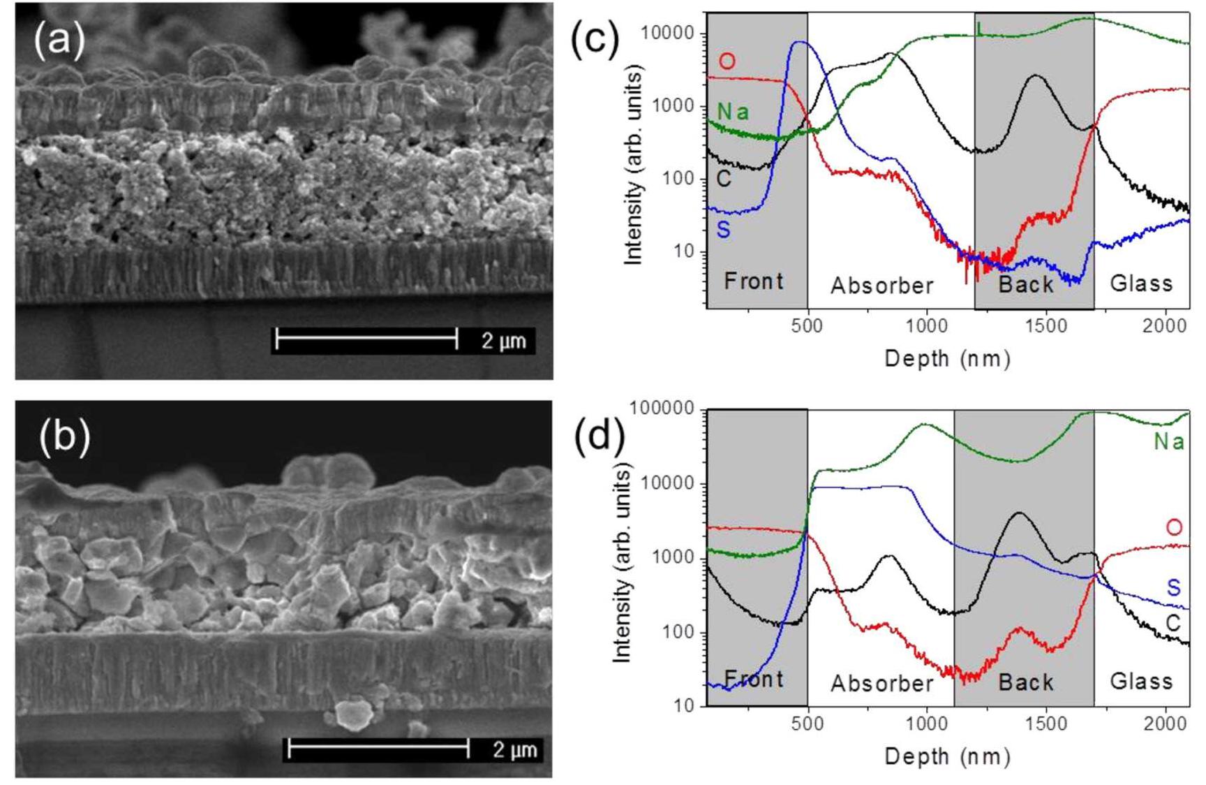 . 1. cross section sem images showing the morphology of the