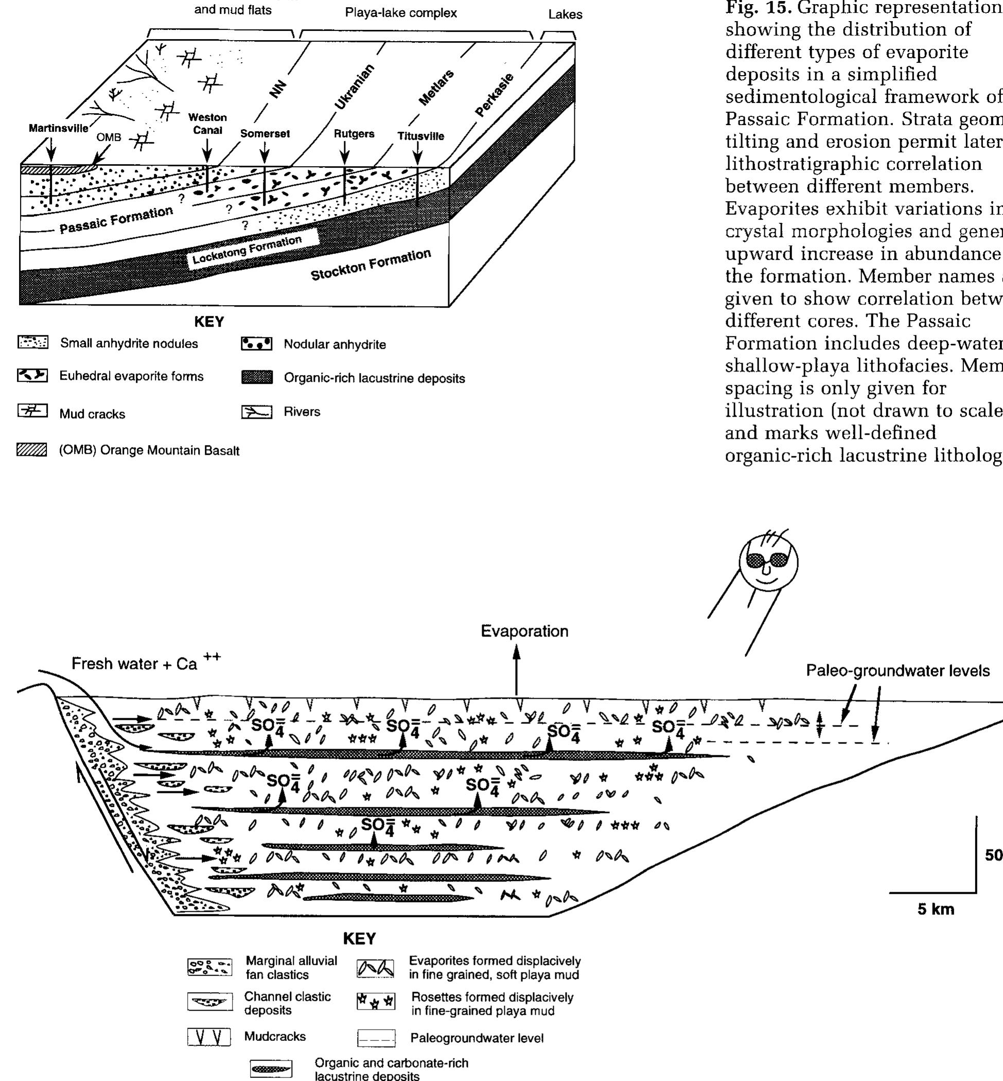 A model showing depositional conditions and formation of