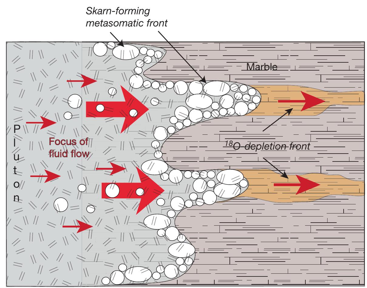 Schematic illustration of lobate skarn boundaries and