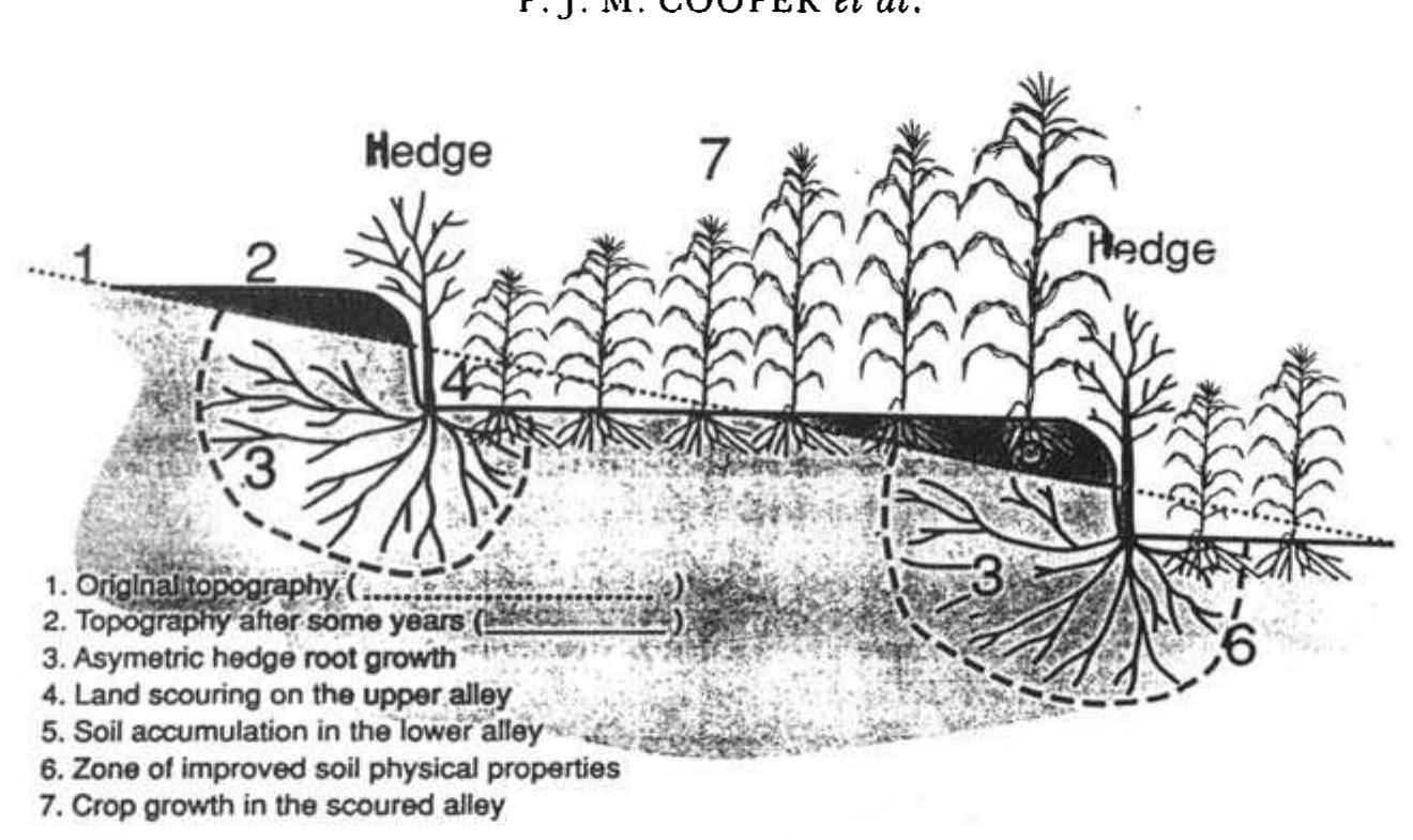 A schematic diagram of barrier hedgerow technology showing