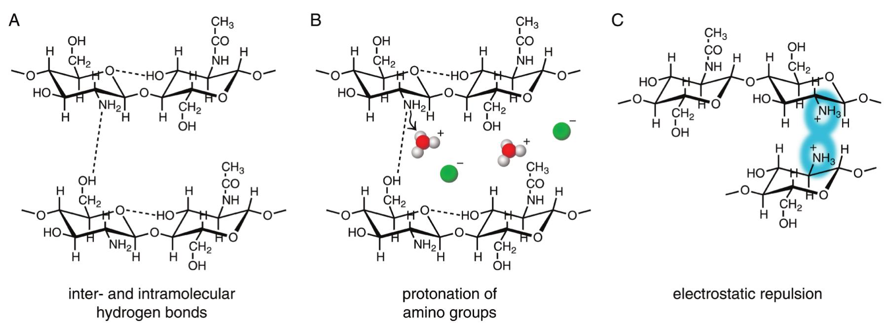 Schematic representation of chemical changes induced by hcl