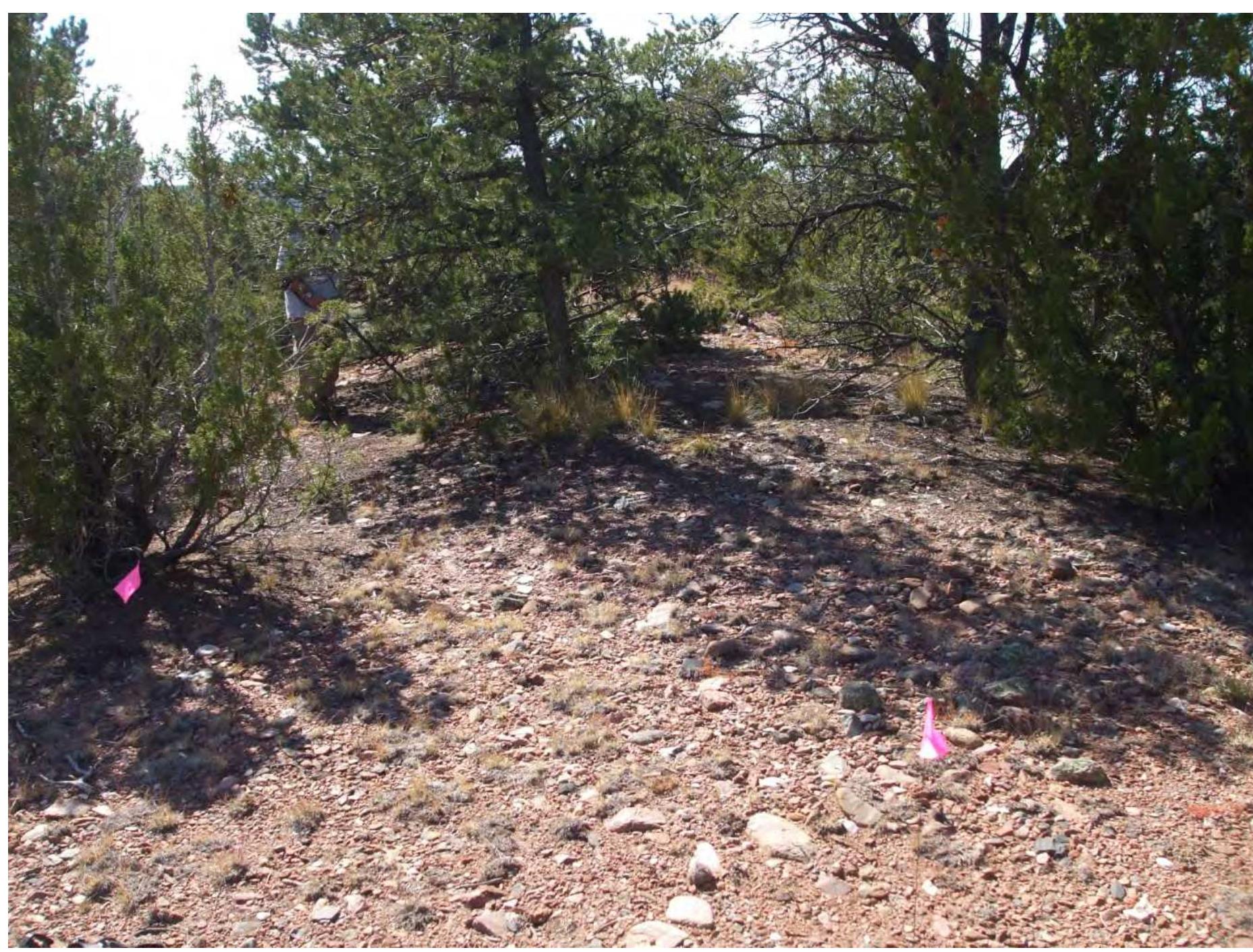 Overview of the area of the percussion cap finds.