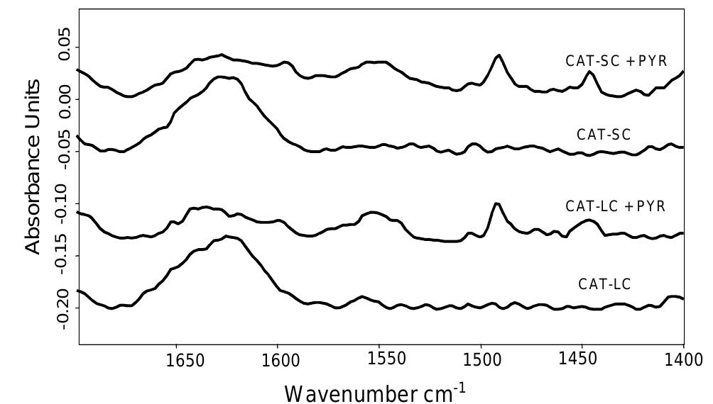 Ftir spectra of pyridine chemisorbed catalyst samples.