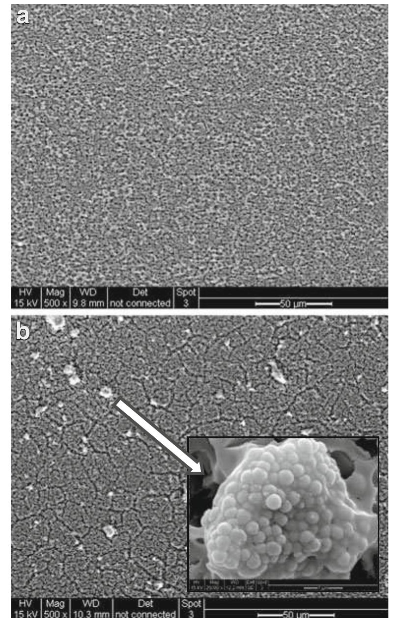 Esem images of a nf-tio2-p25, b nf-tio.+monodisperse titania