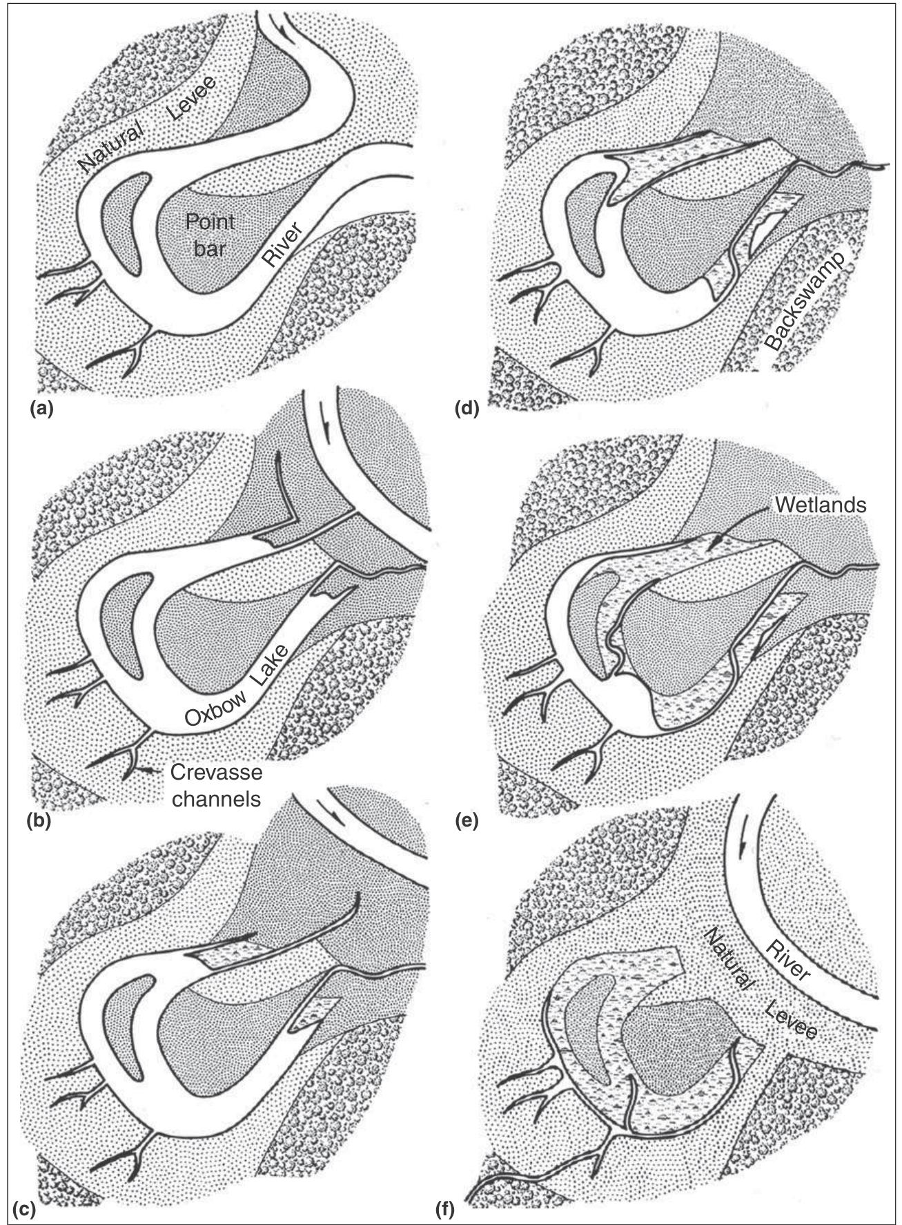 Conceptual model of the life cycle of an oxbow lake produced