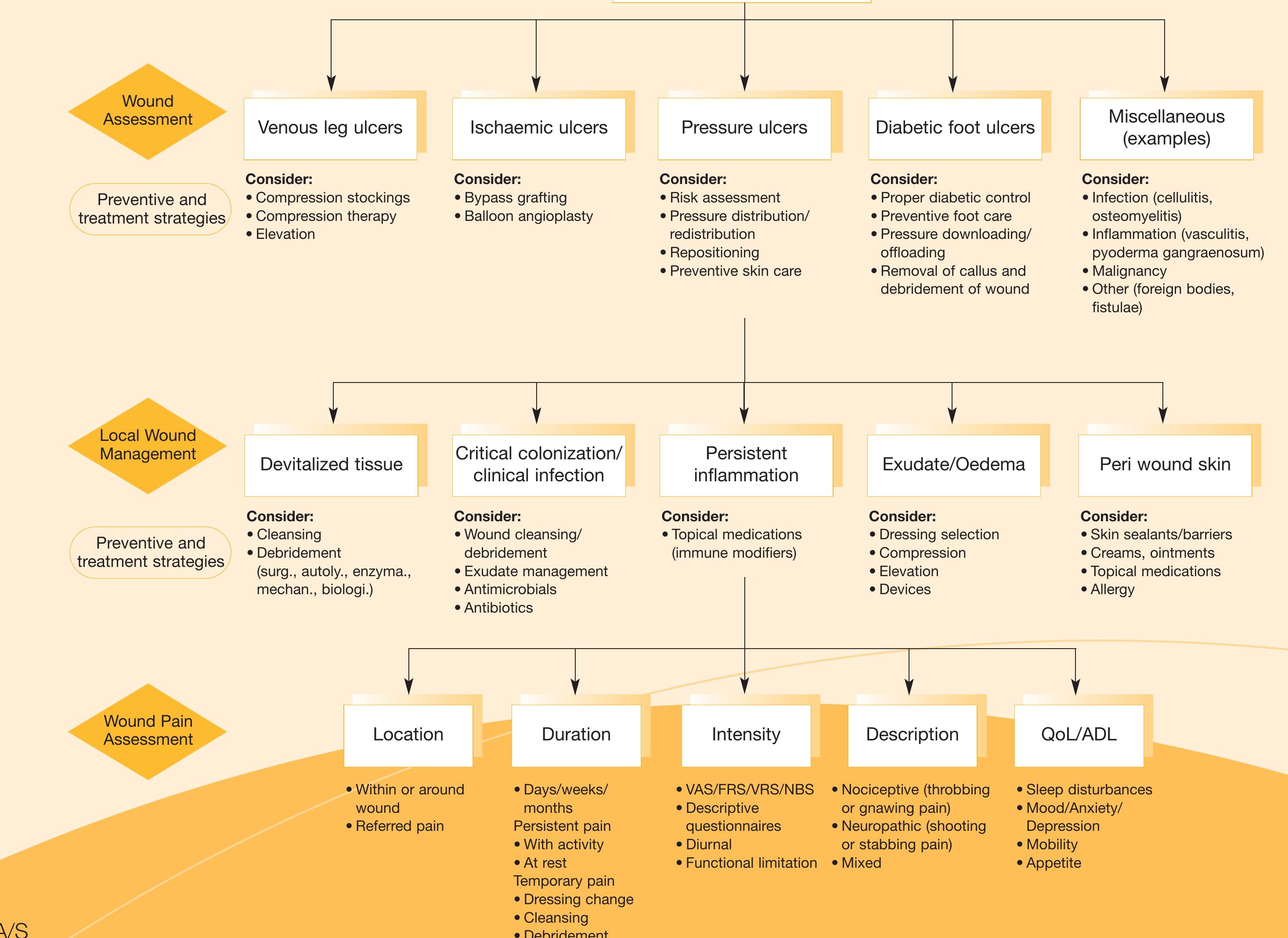 Figure 1 - Managing painful chronic wounds: the Wound Pain
