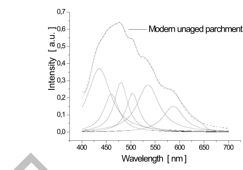 Figure 4 - THE ASSISI CHARTULA BY THE HAND OF SAINT FRANCIS: