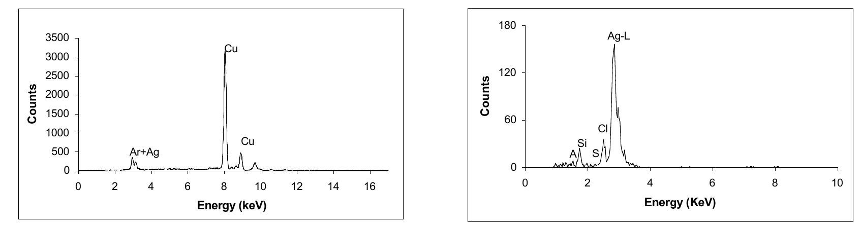 Figure 5 - THE ASSISI CHARTULA BY THE HAND OF SAINT FRANCIS: