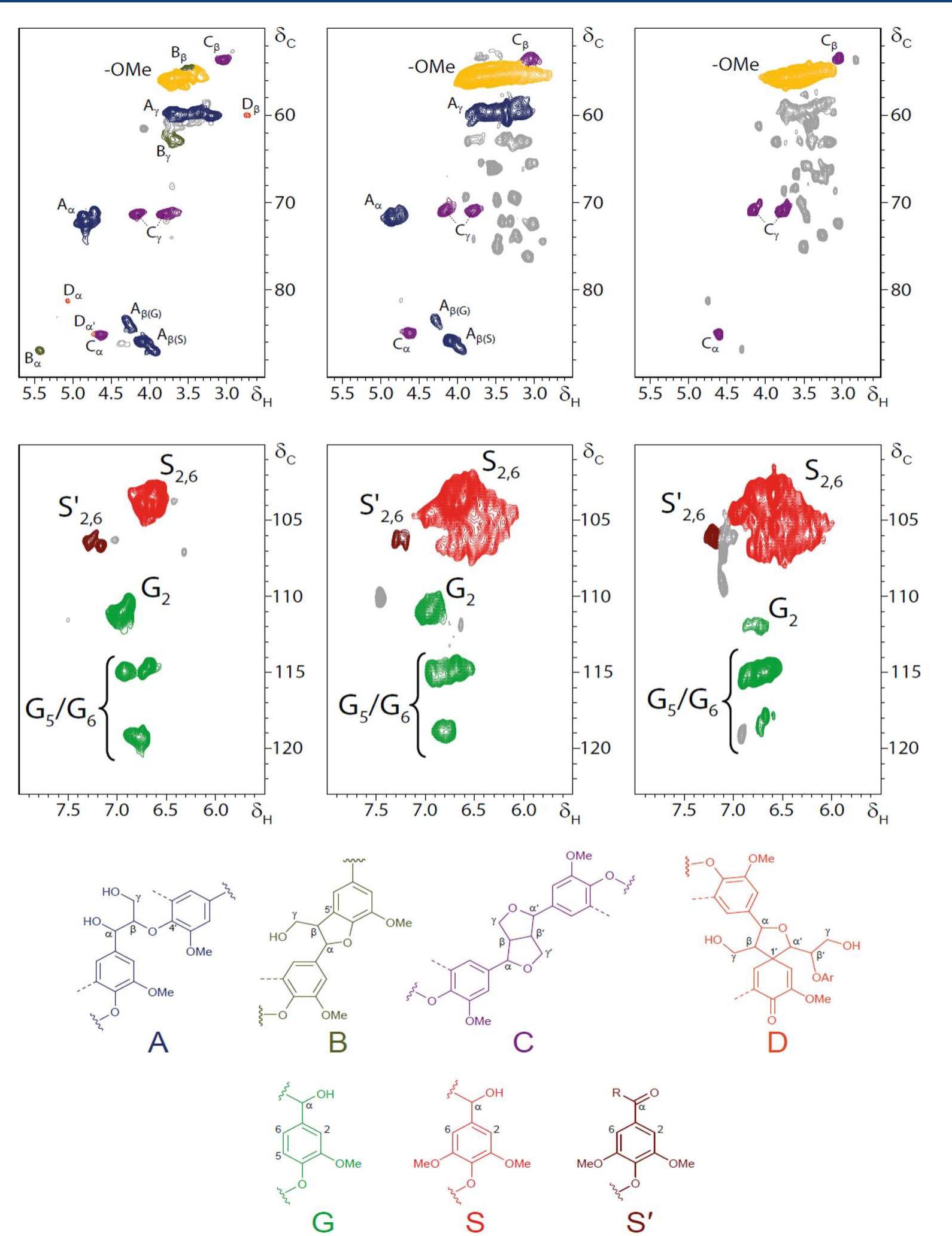 Hsqc nmr spectra of (left) mwl isolated from wood of