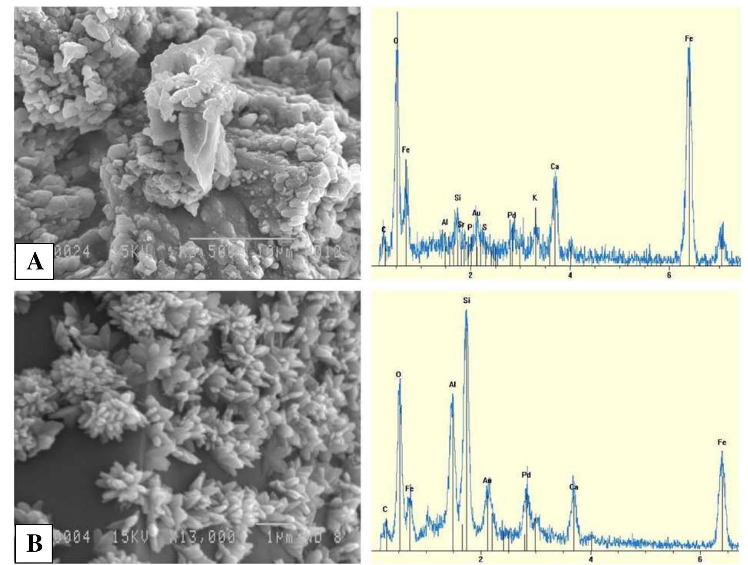 Secondary electron images of iron oxy-hydroxide observed
