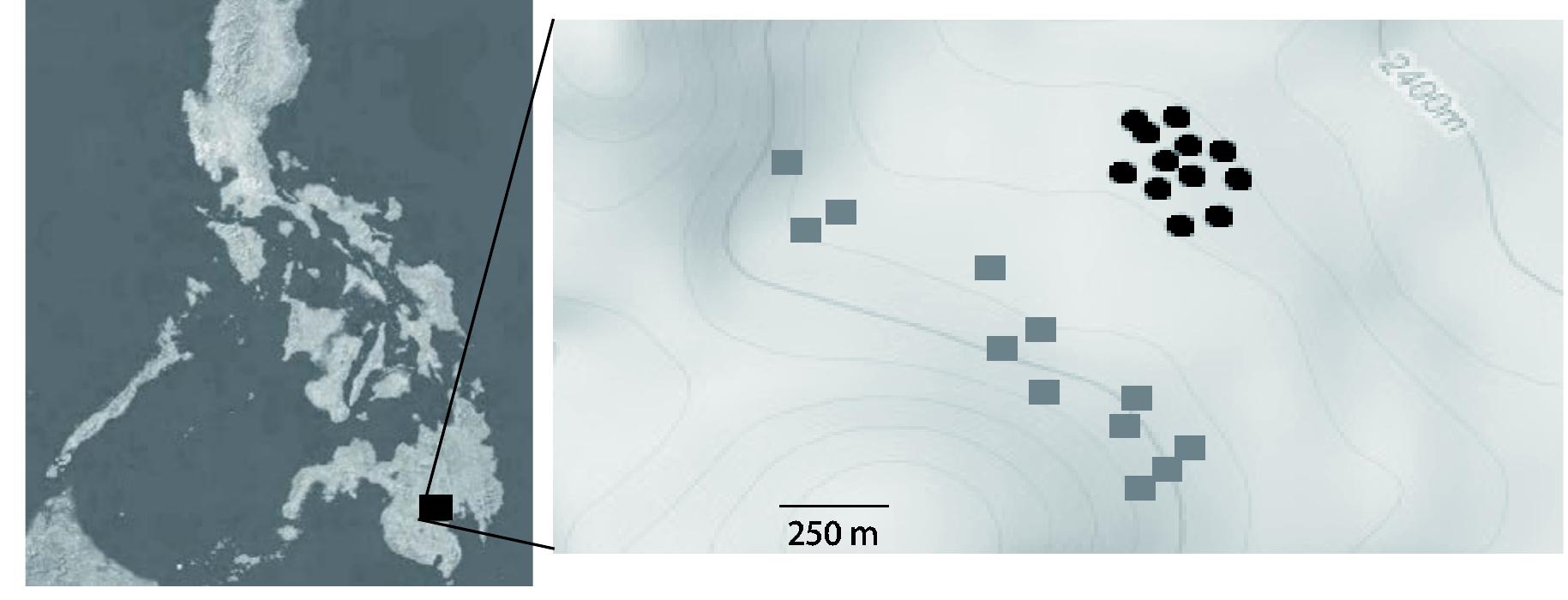 Map of the study site, indicating the locations of sampled