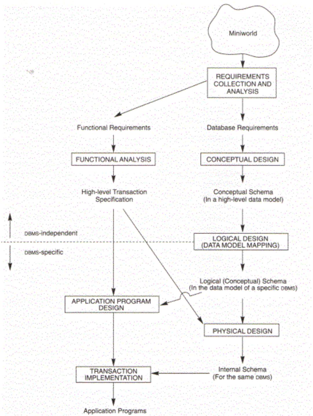 A simplified diagram to illustrate the main phases of