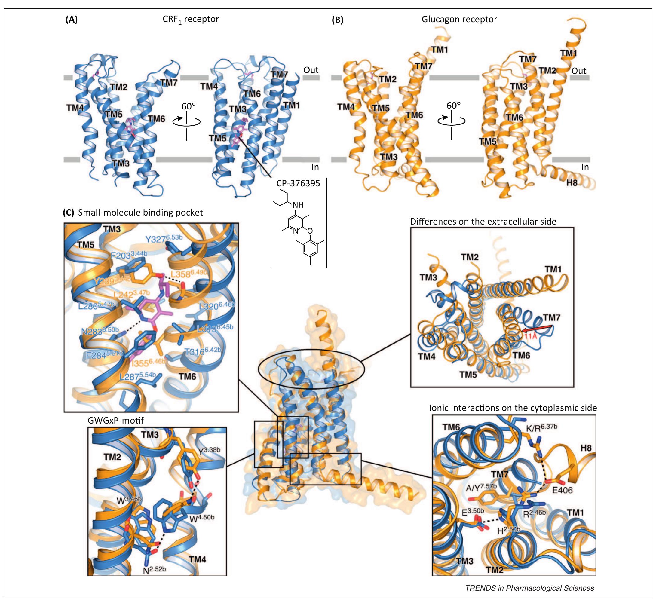 (a,b) crystal structures of the class b g protein-coupled