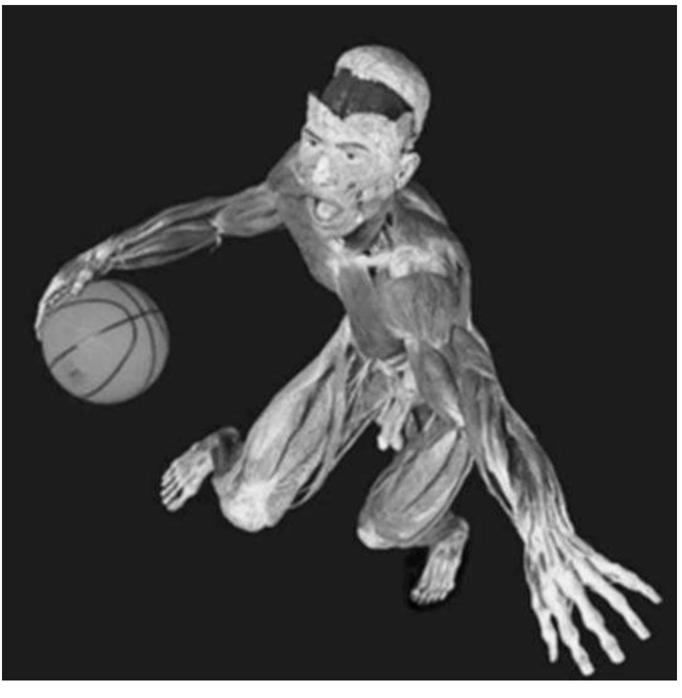 Figure 2 - Body Worlds: clinical detachment and anatomical