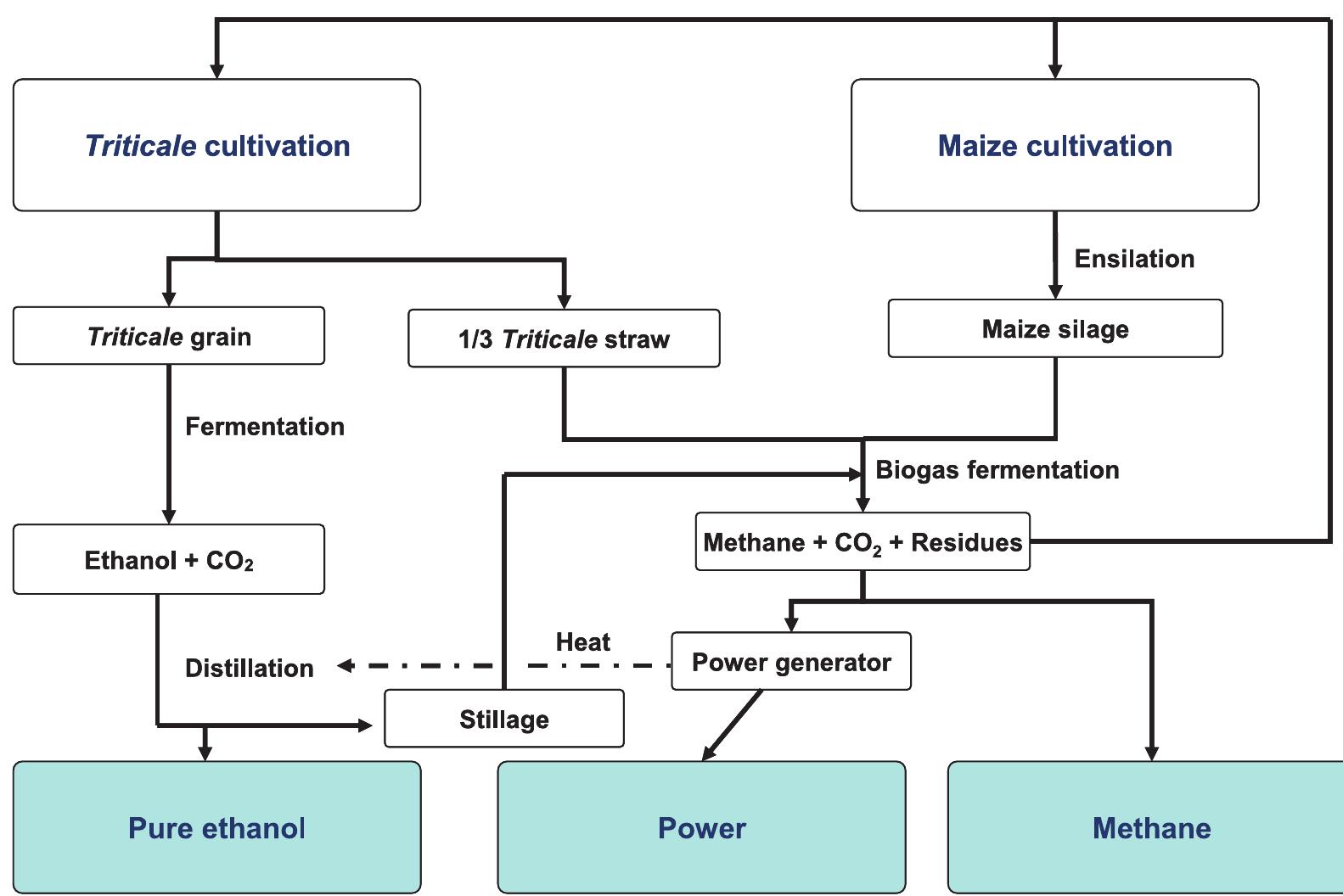 7: flow chart of bioethanol and biogas production in a