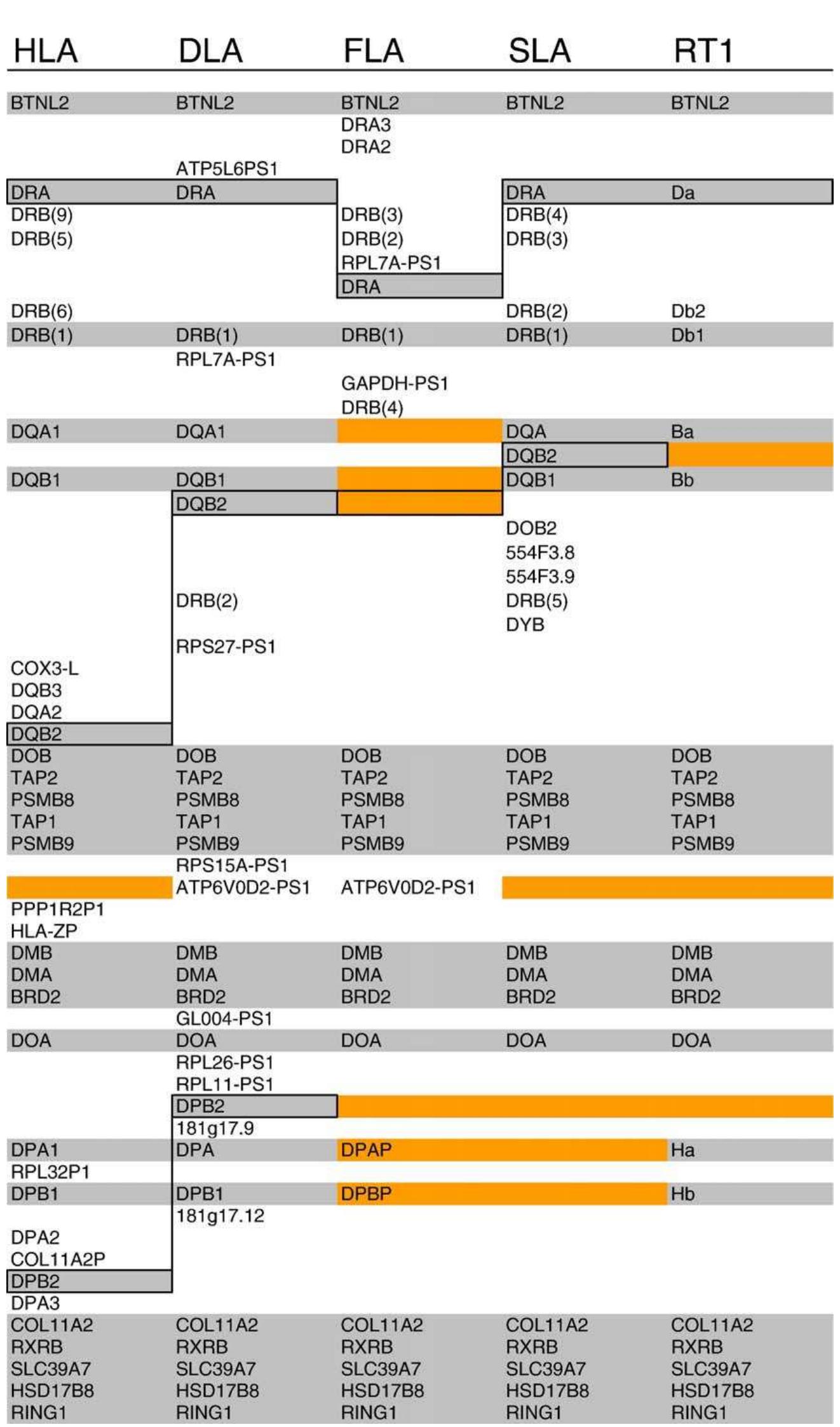 Framework map of sla class ii region. the map shows a