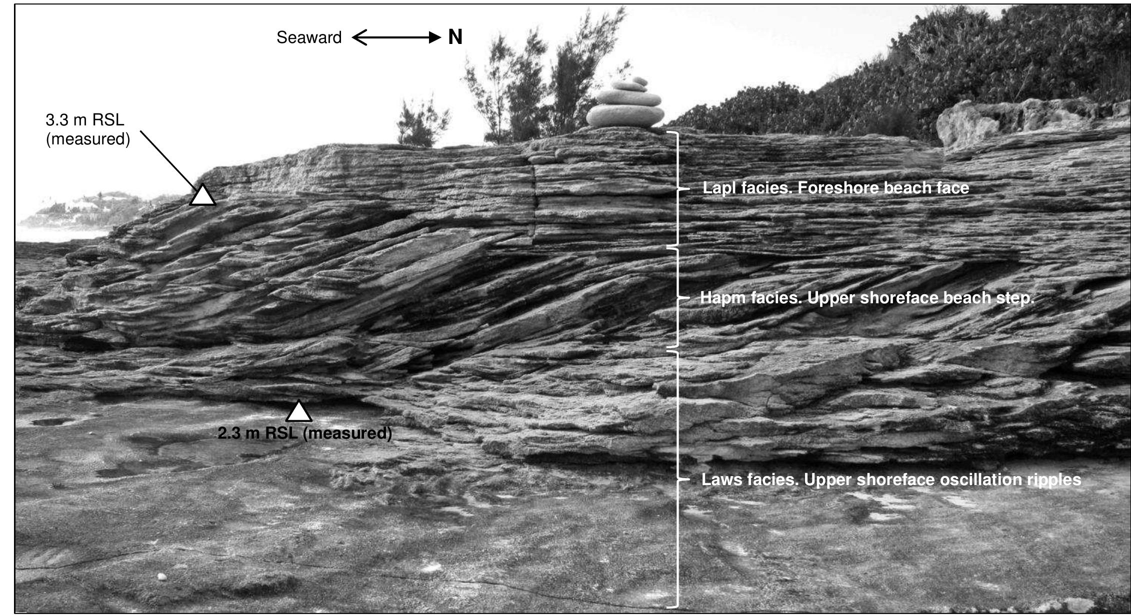 The hapm facies in the belmont formation at grape bay. the
