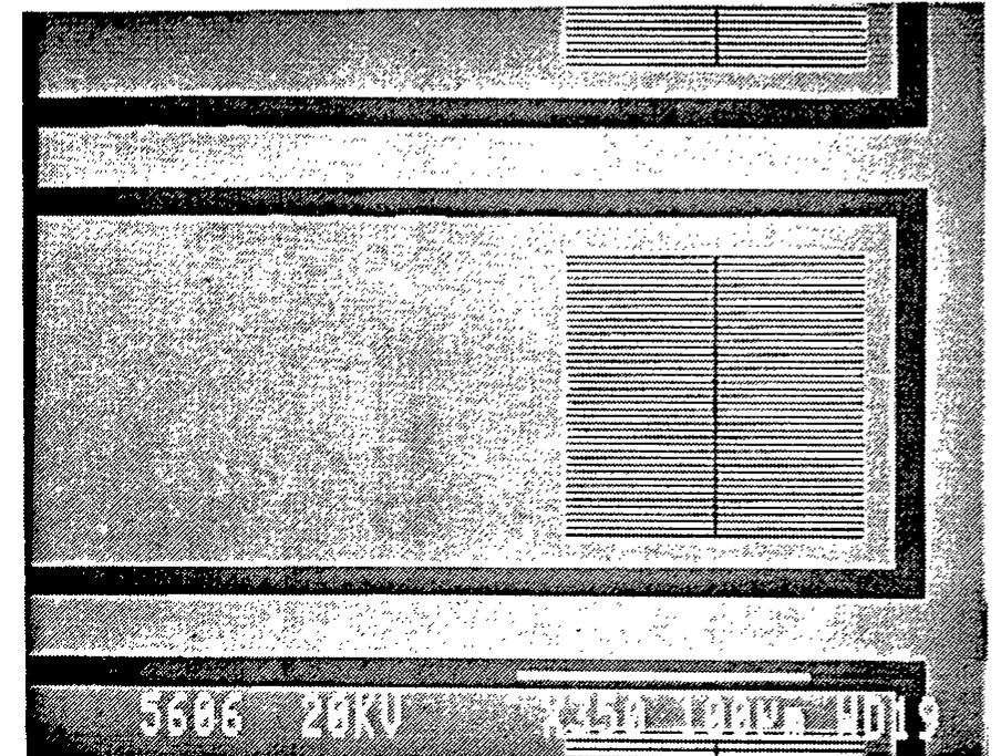 Sem-picture showing the mask layout for one transistor. the