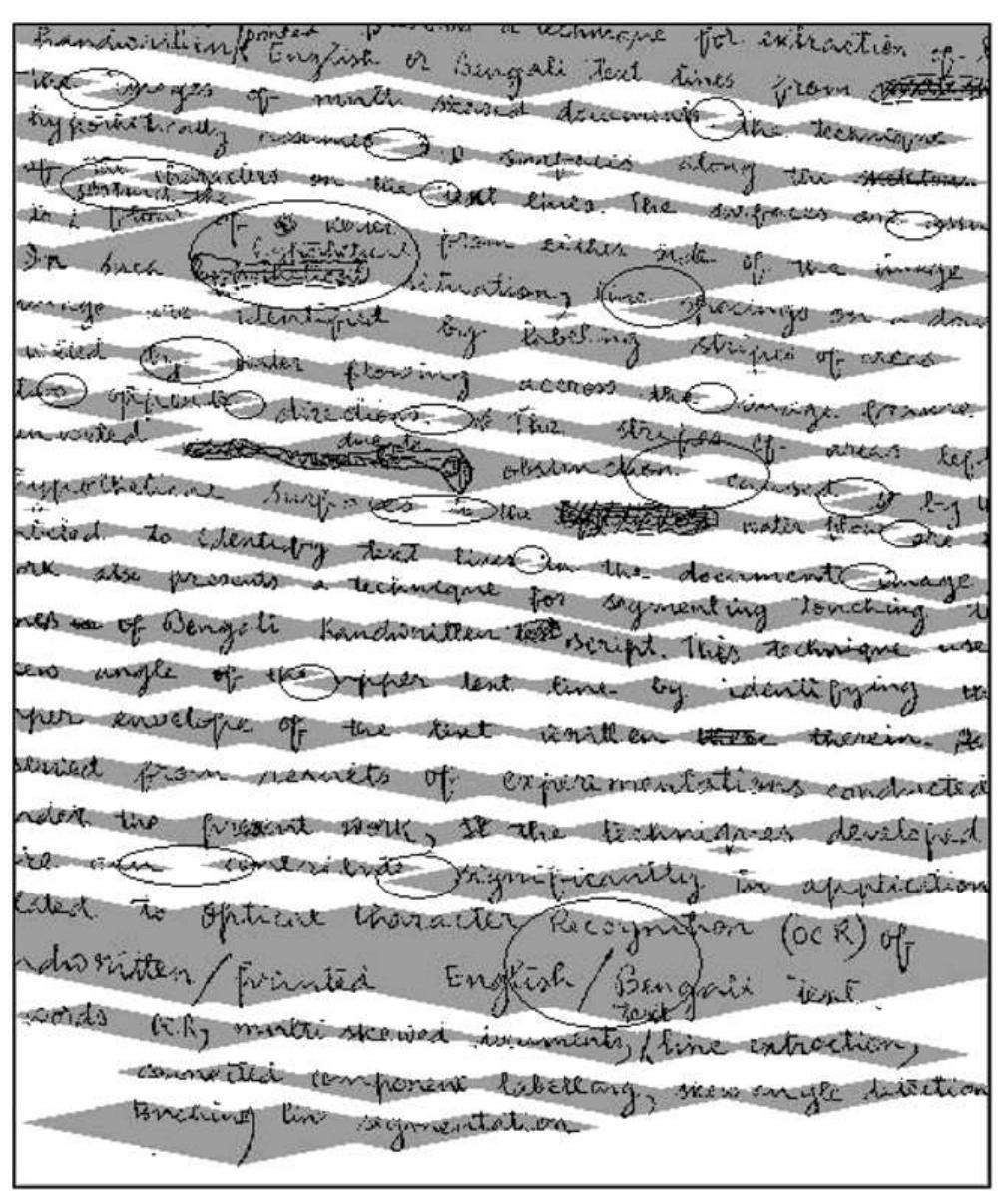 A sample image of multioriented handwritten english document