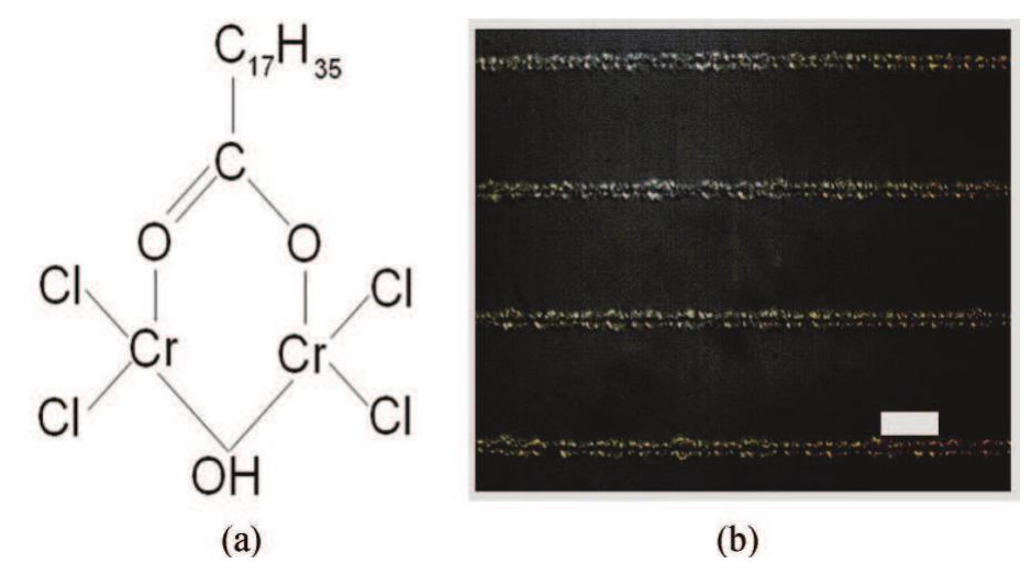 (color online) (a) chemical structure of stearic acid