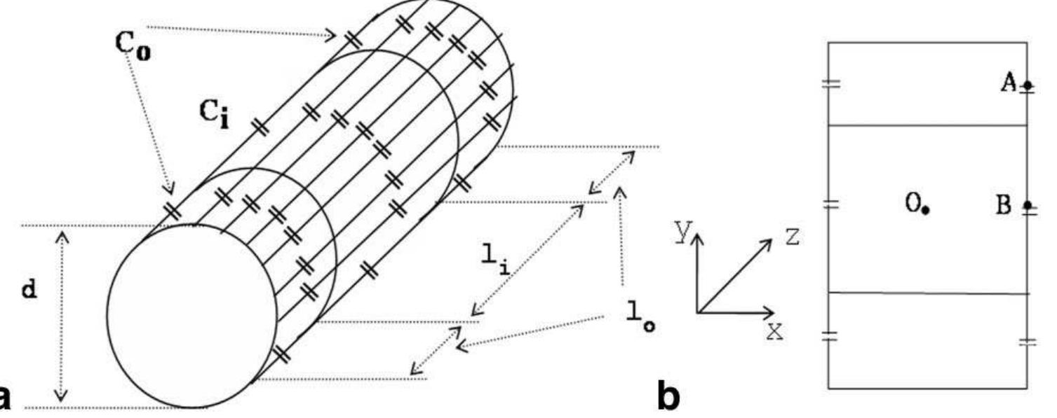 Structure of the four-ring dual-tuned birdcage coil. a: