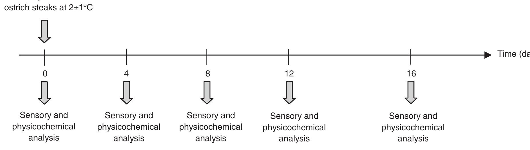 Example of a basic storage design for estimating the sensory
