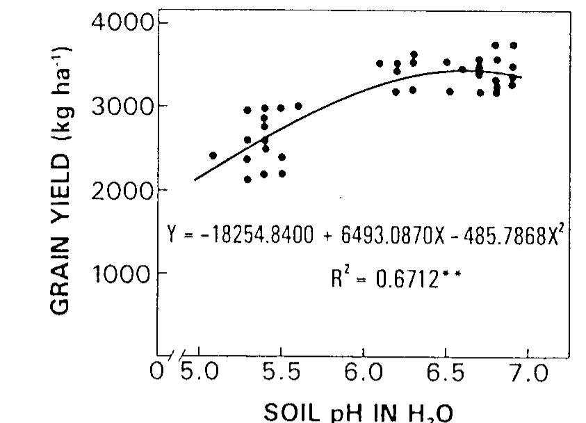 Relationship between soil ph and grain yield of dry bean