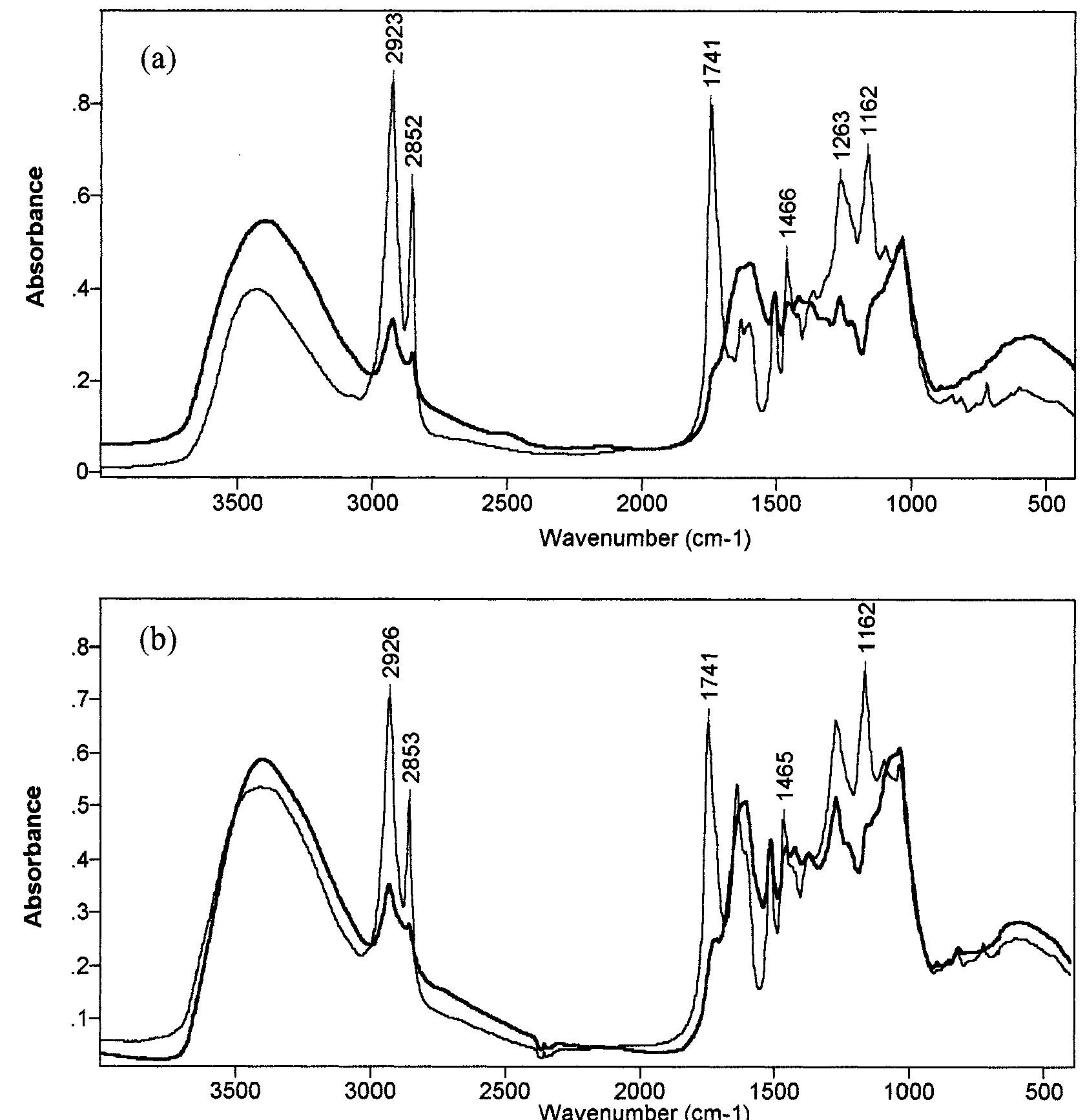 Absorbance ftir spectra of extractive-free cork (fine lines)